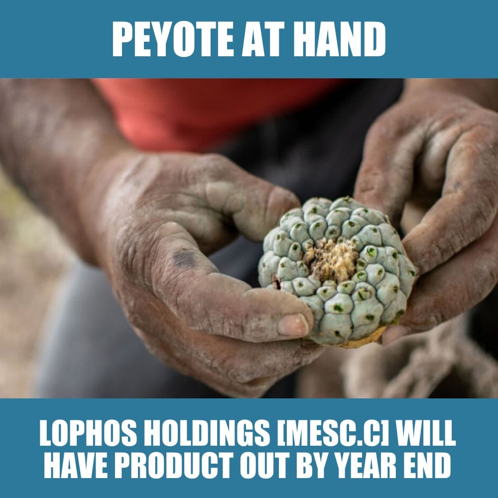 Peyote at the ready: Lophos Holdings (MESC.C) expands license, lays out ...
