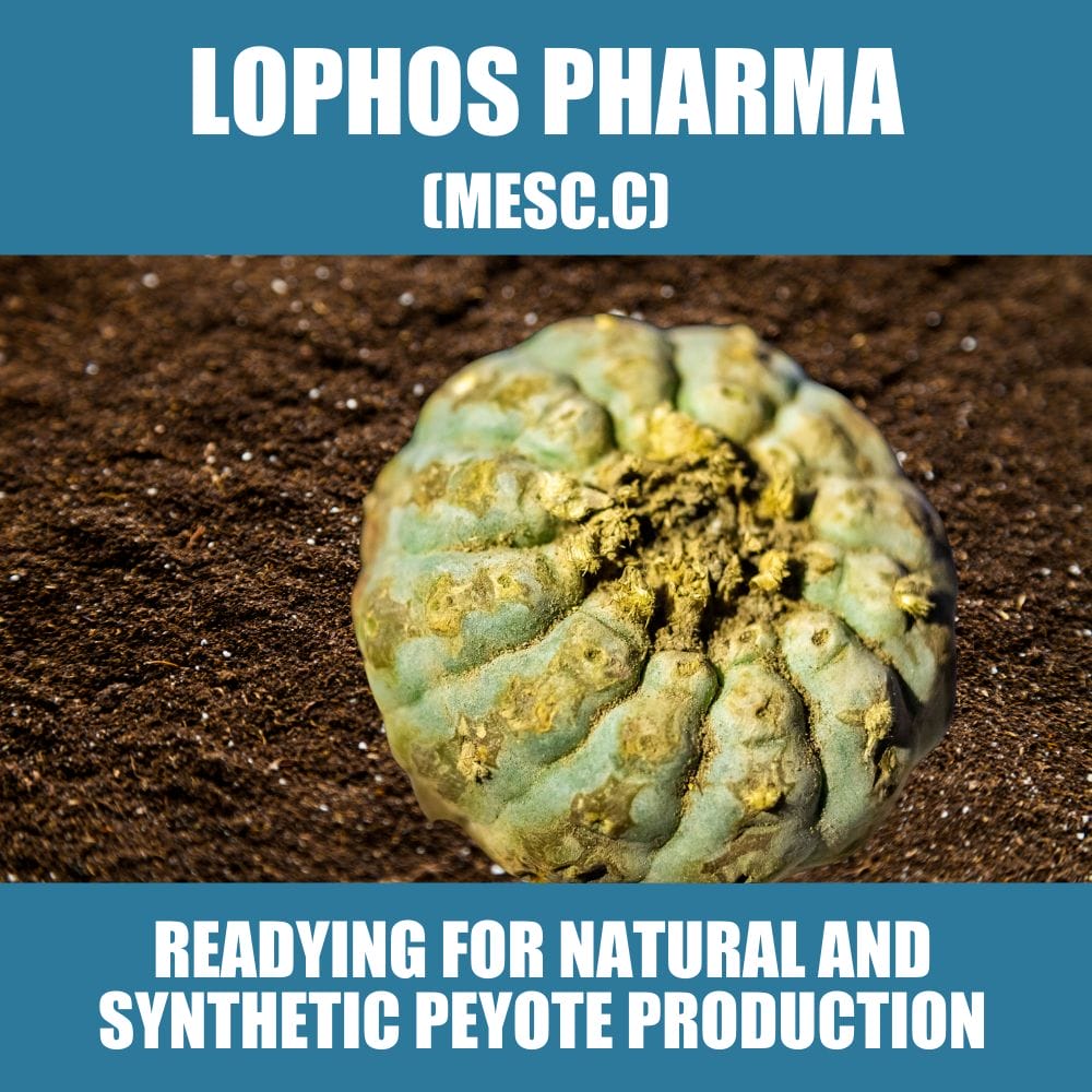 Lophos Pharma (MESC.C) now readies for natural and synthetic peyote ...